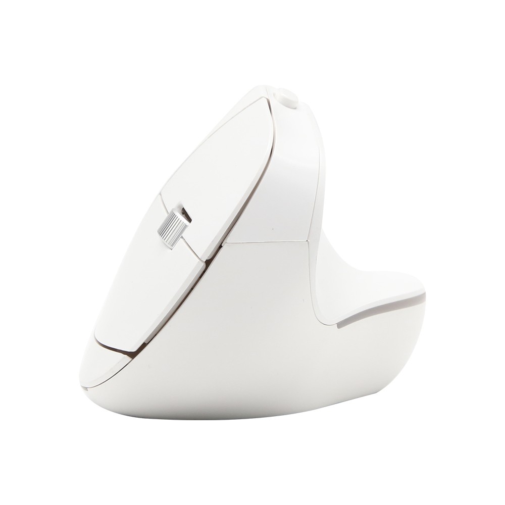 เมาส์ไร้สาย Anitech Bluetooth and Wireless Vertical Mouse (W230) White ...